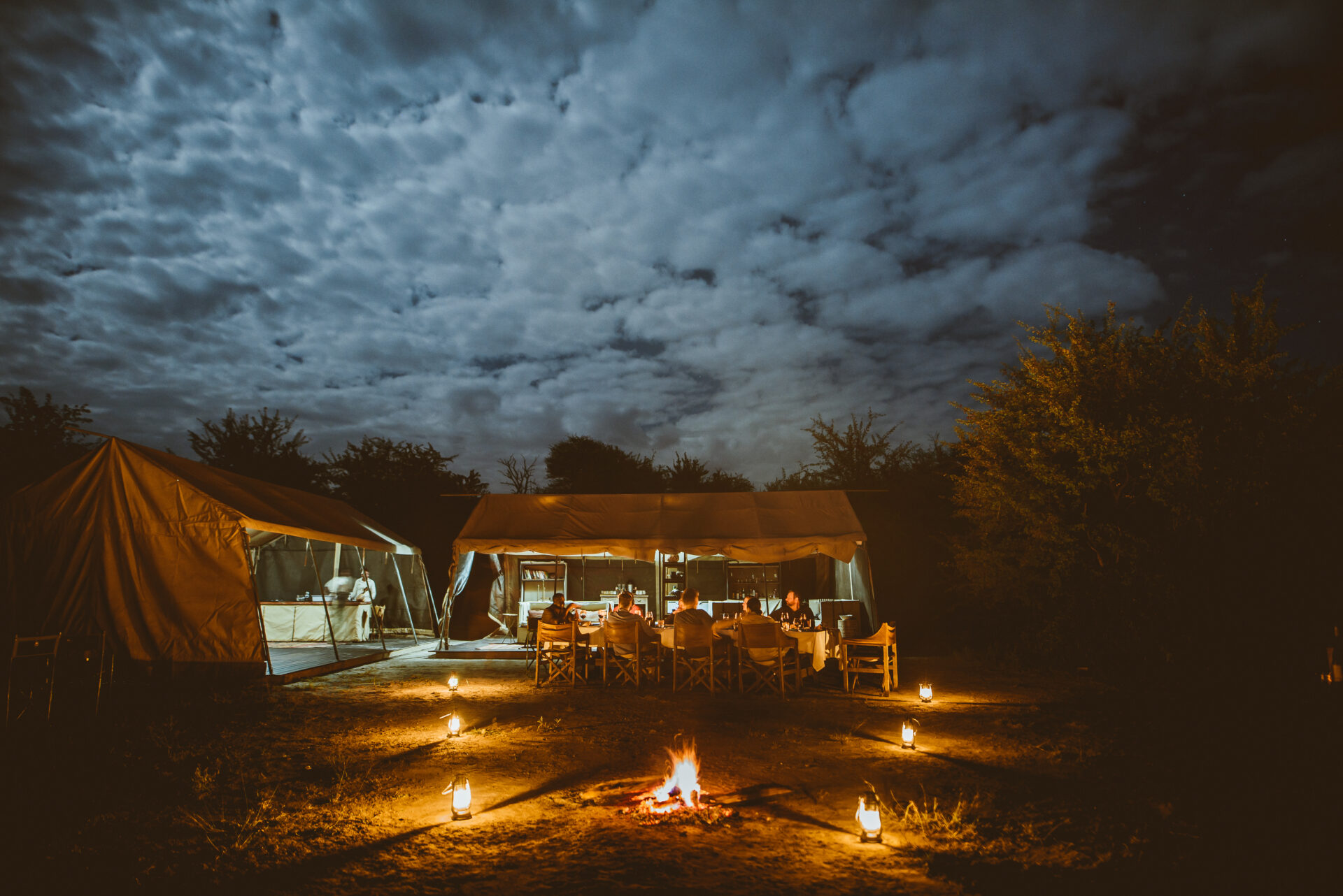 Follow The Zebra Migration in Northern Botswana at Migration ...